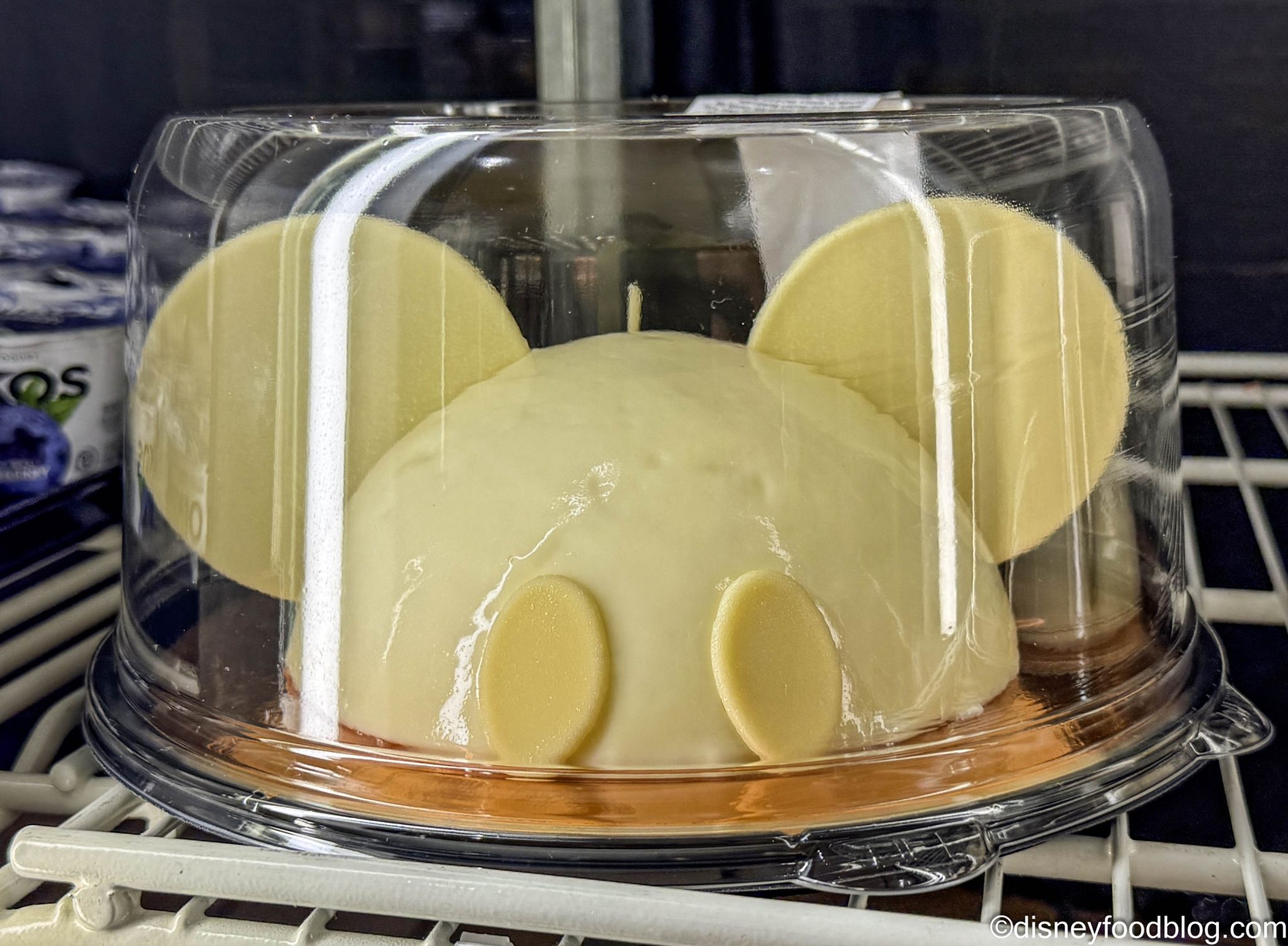 Disney World Cakes FAQ | the disney food blog
