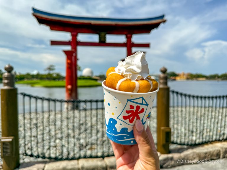 REVIEW: We Found the Best NEW Disney Snack and It's Hiding in the Japan ...