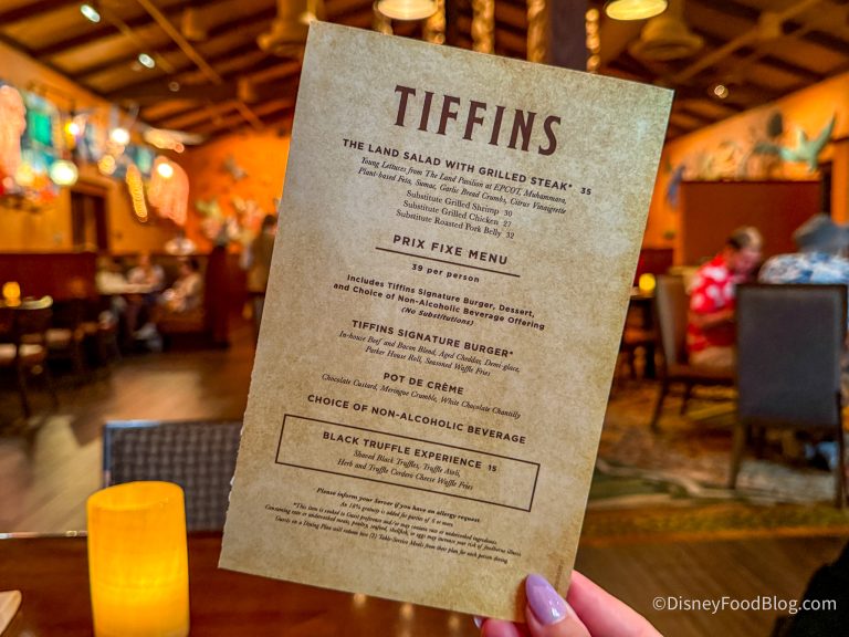 4 Unspoken Rules to Follow in the Saddest Disney World Theme Park Right ...