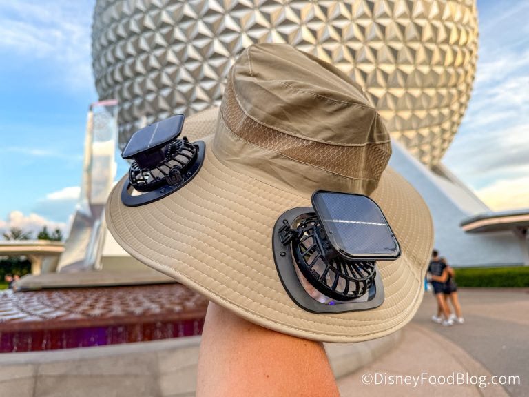 5 "Embarrassing" Disney Park Items That Actually Work | the disney food ...