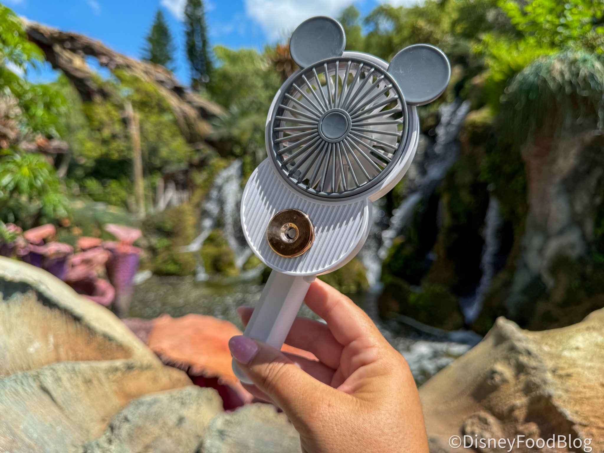 The 7 Best Travel Products for Disney World, According To Our Testing ...