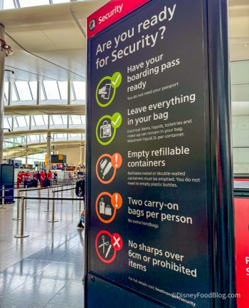 "Fully Automated from Curb to Gate" TSA Is Planning Sweeping Airport ...