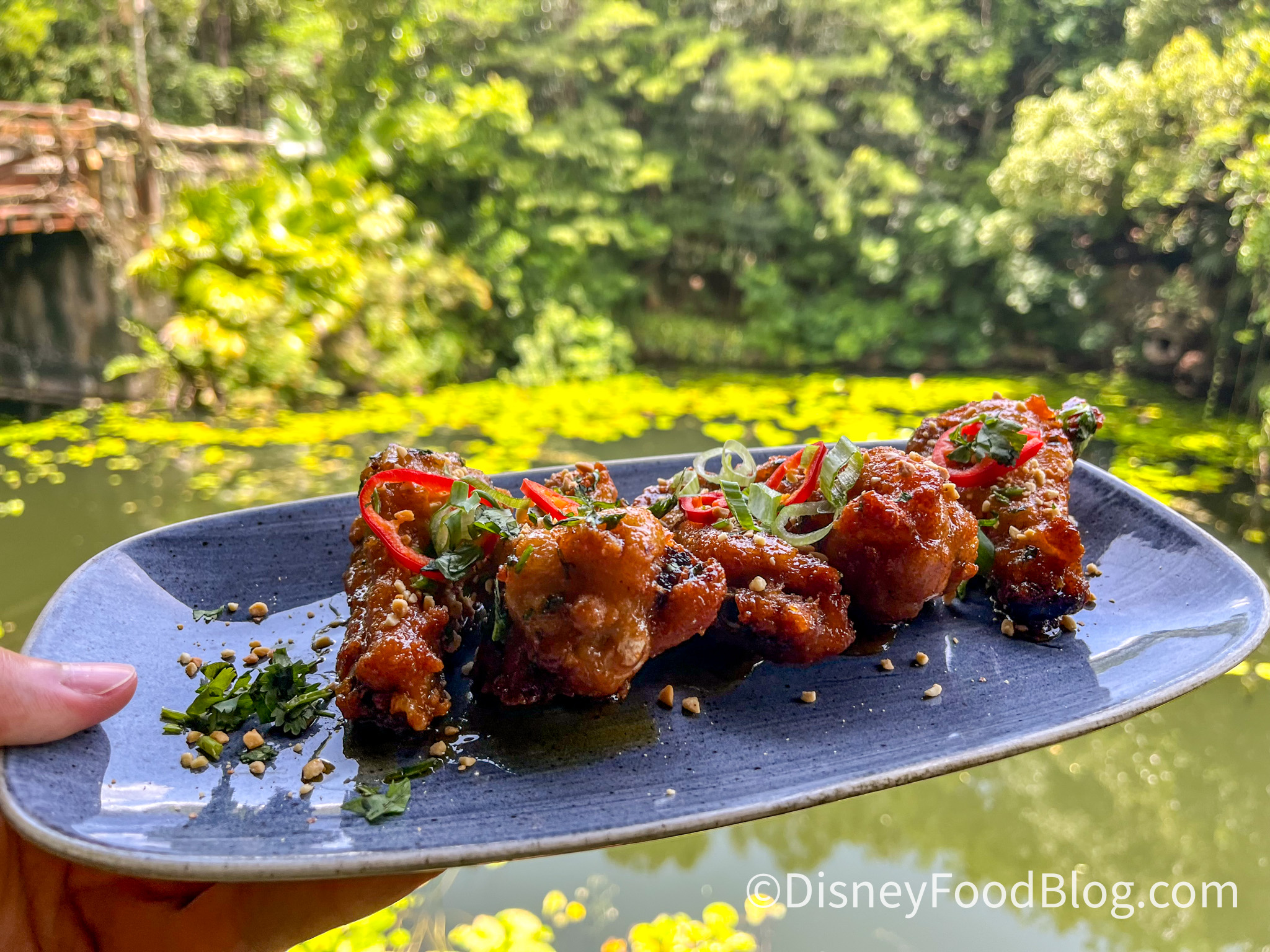 REVIEW: The BEST Churros at Disney World Are NOT Where You Think | the ...