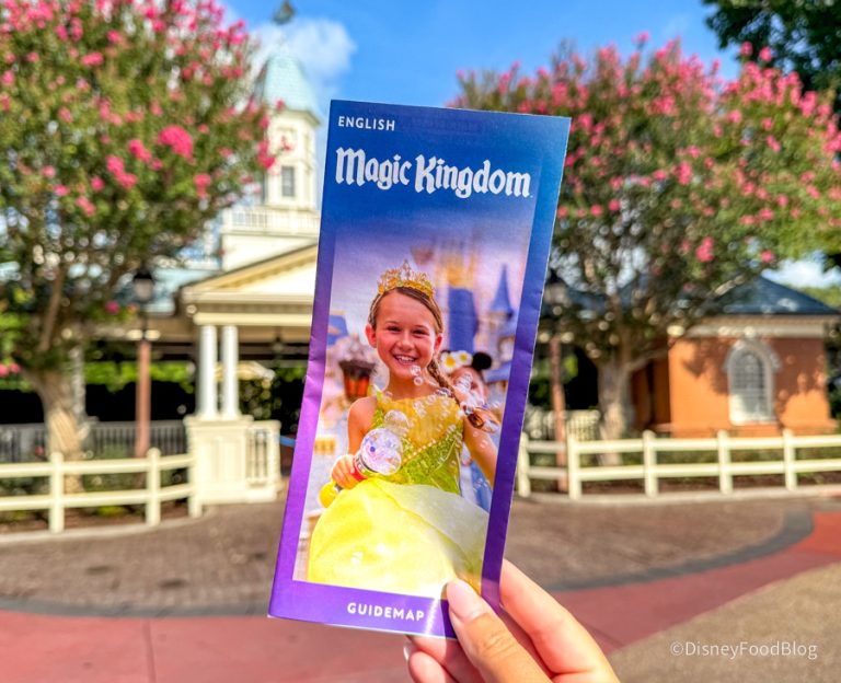 It’s Official! The Magic Kingdom Park Map Has CHANGED - Disney by Mark