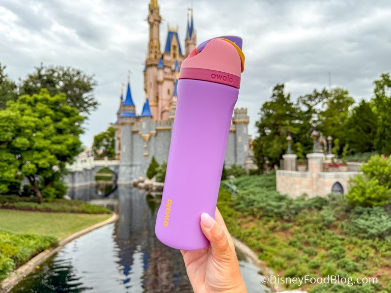 Amazon Just Released an Exclusive Owala Water Bottle Collection That ...