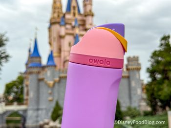 Amazon's Colorful New Owala Collection Is Available Now | the disney ...