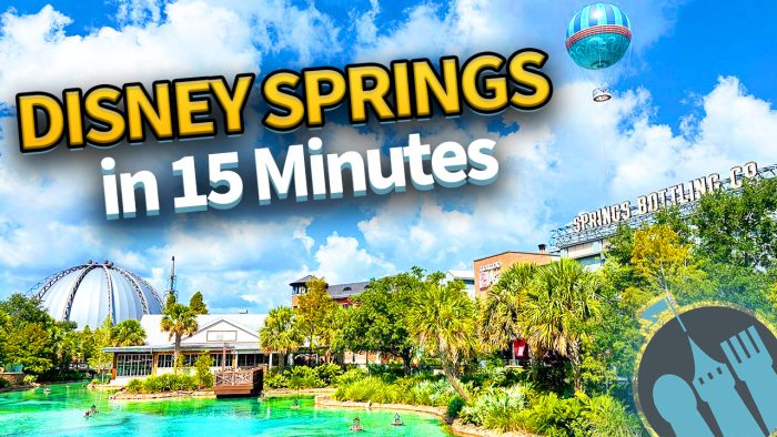 DFB Video: EVERYTHING You Need To Know About Disney Springs in 15 ...