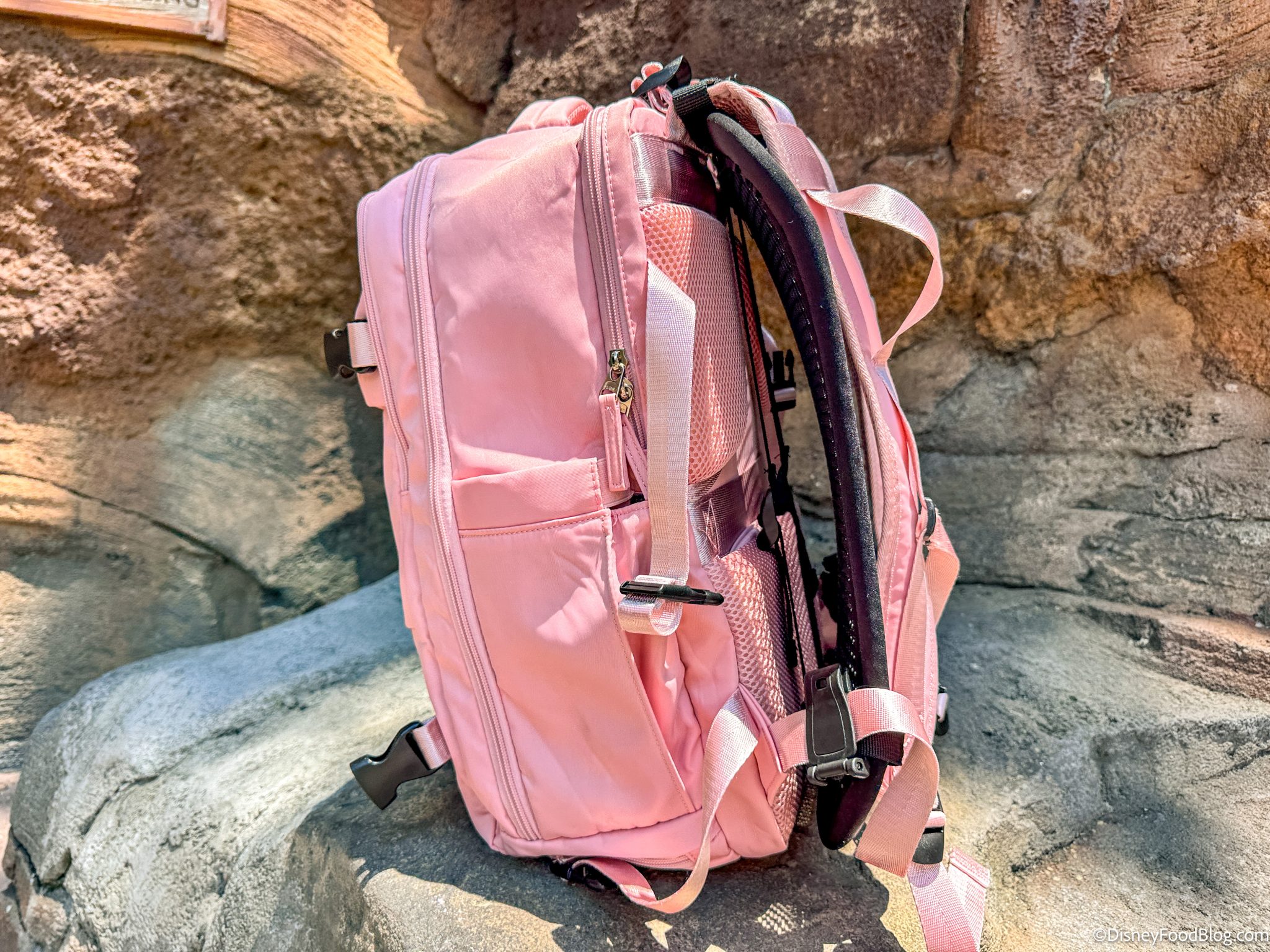 The 7 Best Park Bag Products for Disney World, According To Our Testing ...