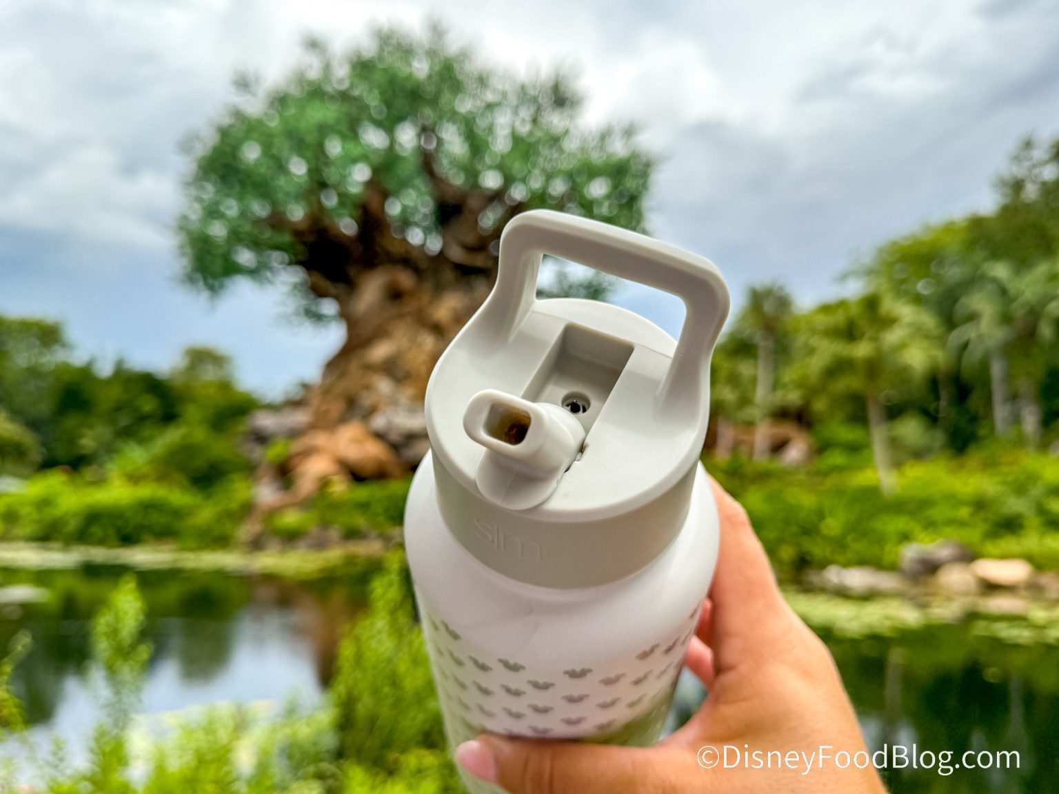 We Tested 5 Water Bottles for Disney World and There Was 1 Clear Winner ...