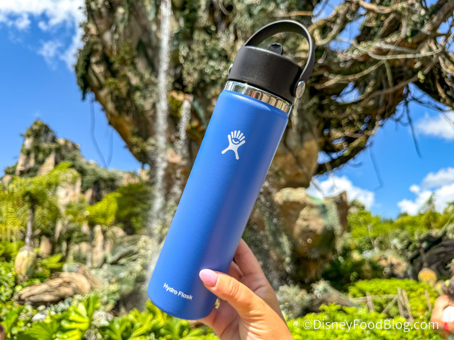 We Tested 5 Water Bottles for Disney World and There Was 1 Clear Winner ...
