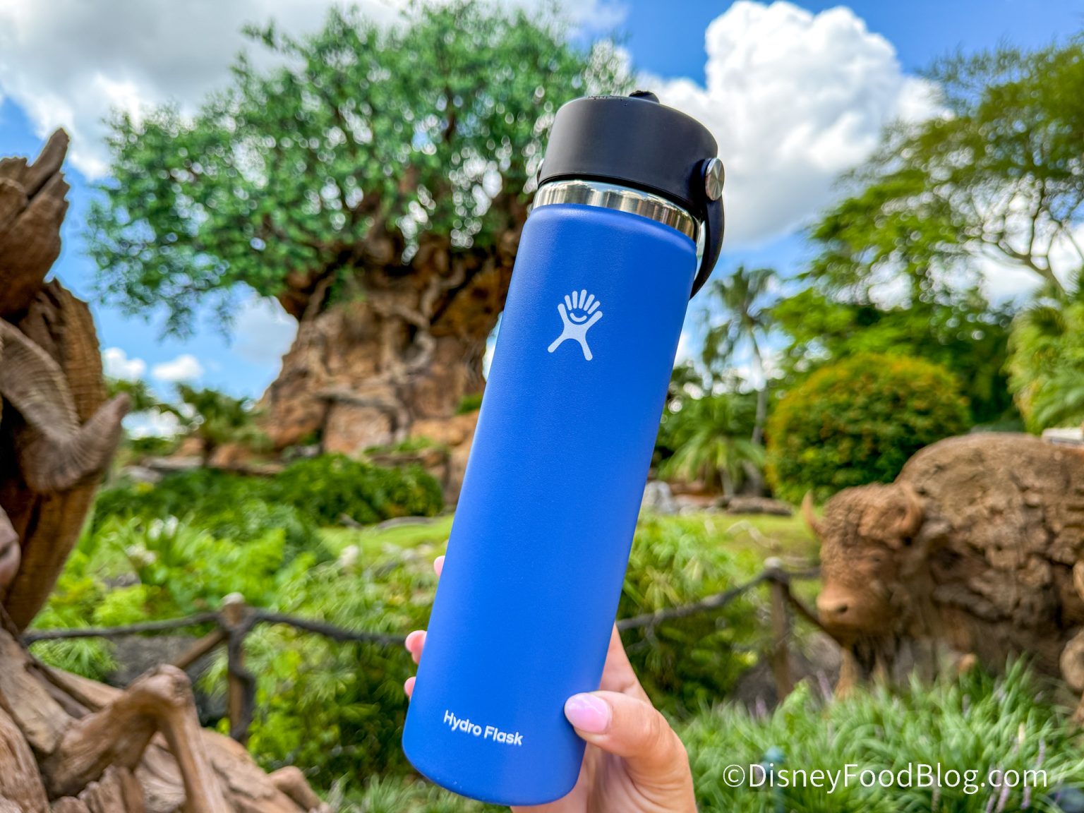 The Ultimate Packing List for Disney World Pros | the disney food blog