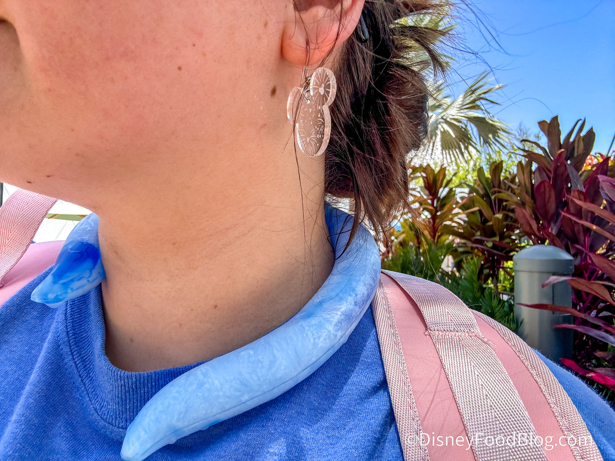16 Disney Essentials to Grab Before Prices Go Up on Amazon | the disney ...