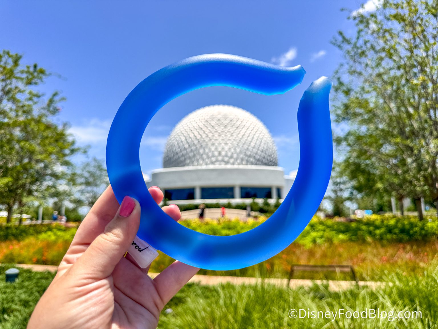 5 “Embarrassing” Disney Park Items That Actually Work - Disney by Mark