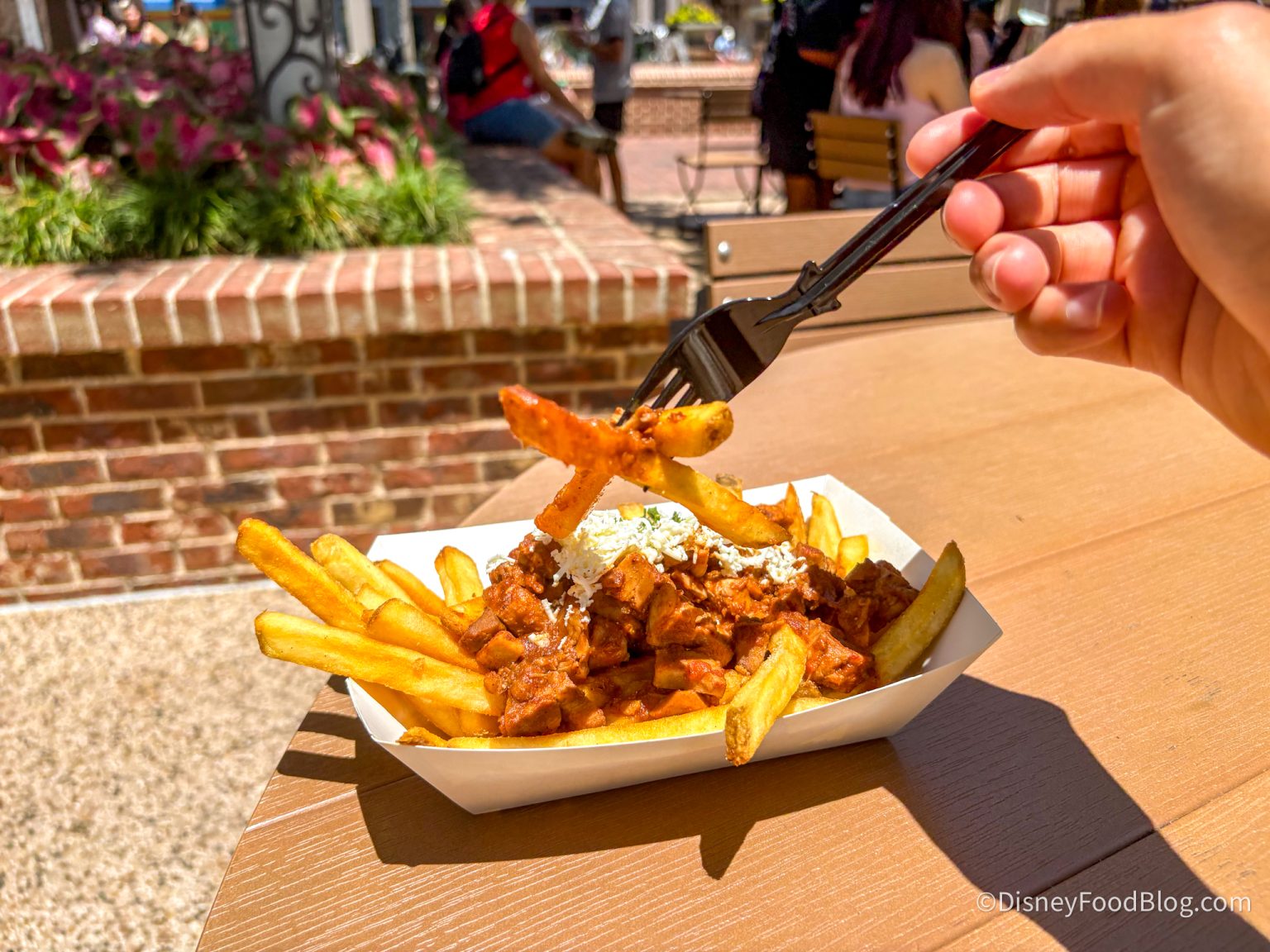 REVIEW: This Is the Best Poutine in Disney World — and It's Not Where ...