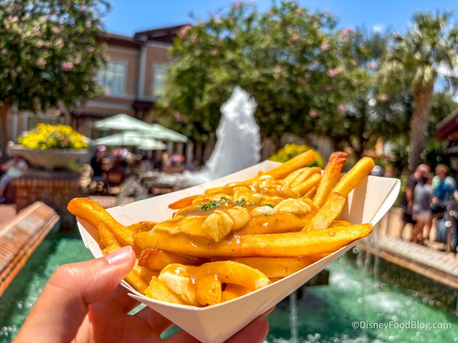 REVIEW: This Is the Best Poutine in Disney World — and It's Not Where ...