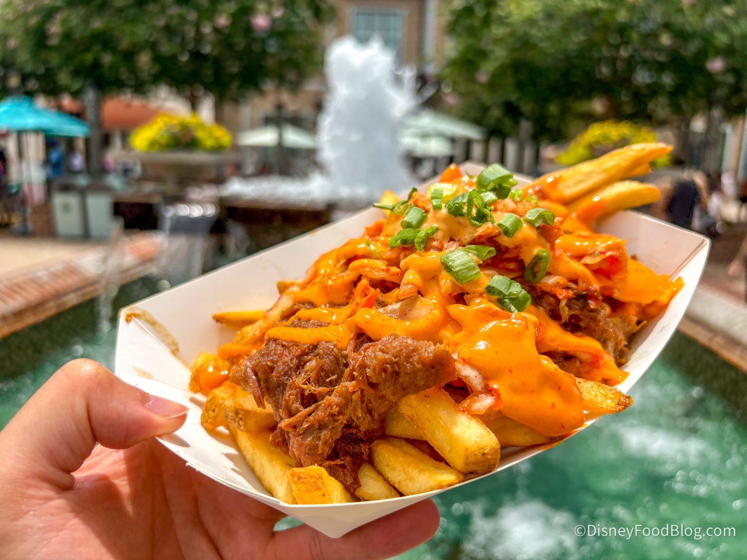 REVIEW: This Is the Best Poutine in Disney World — and It's Not Where ...