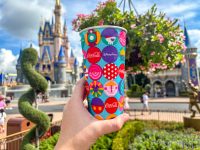 7 Quick Service Restaurants that Offer Unlimited Soda Refills in Disney ...