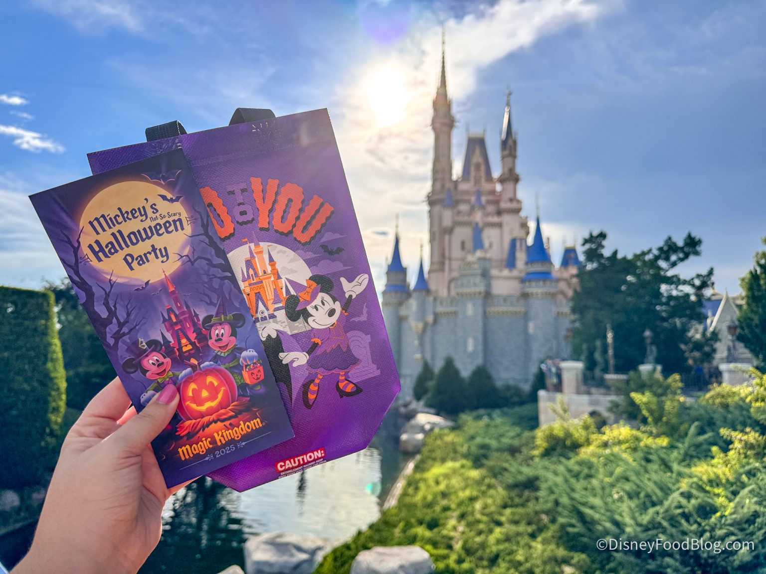 When Do Tickets for Mickey's Not-So-Scary Halloween Party 2026 Go On ...