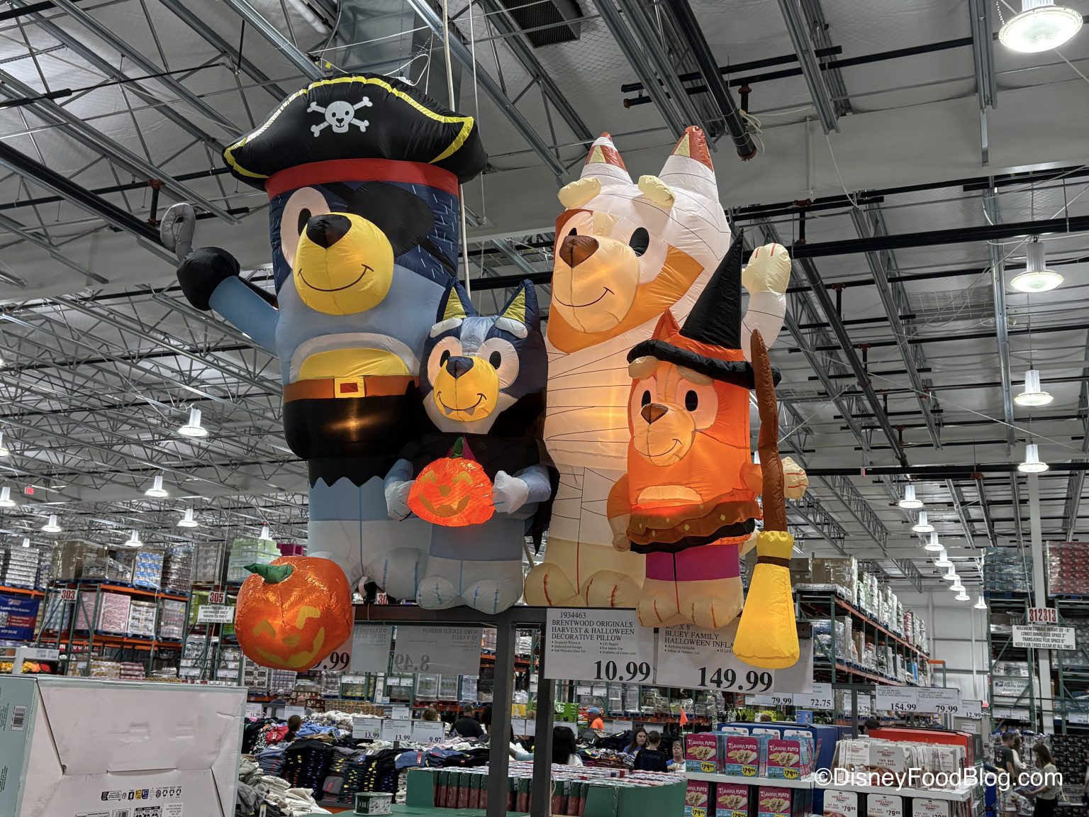 Costco Just Released the PERFECT Bluey Halloween Decoration - Disney by ...