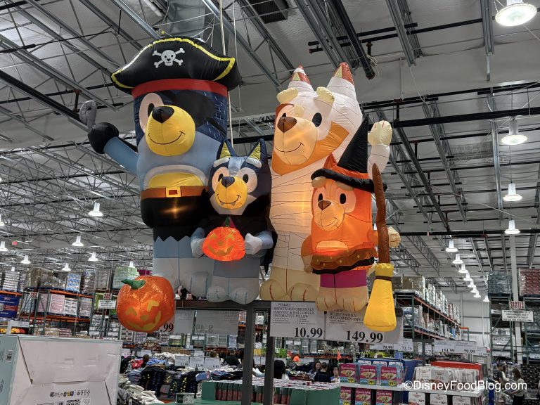 Costco Just Released the PERFECT Bluey Halloween Decoration | the ...