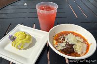 Earth Eats — 2025 EPCOT Food and Wine Festival | the disney food blog