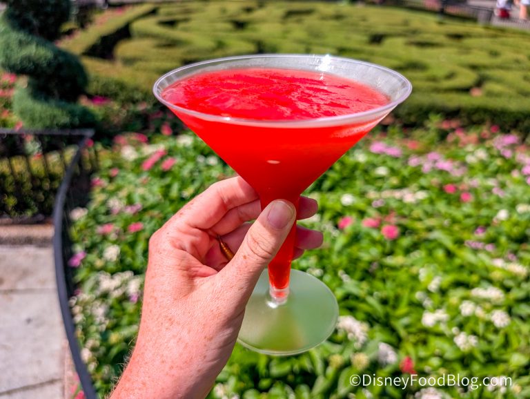 France — 2025 EPCOT Food and Wine Festival | the disney food blog