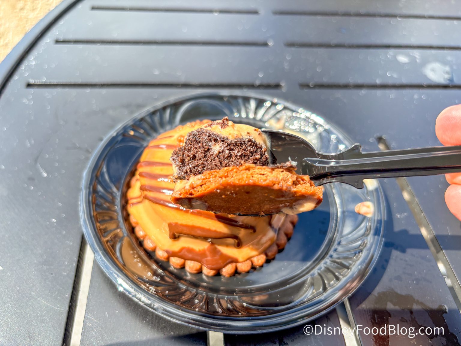 REVIEW: Calling All Zebra Dome Fans! We Found a $6 Snack You're Gonna ...