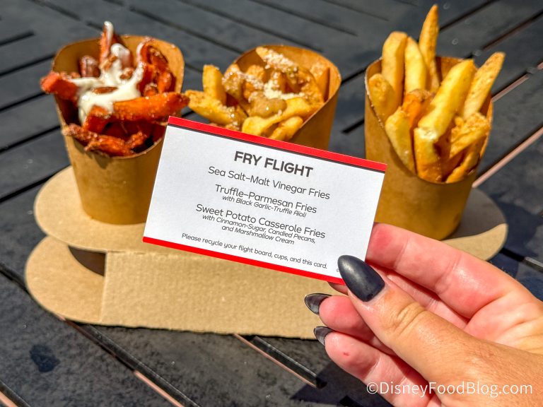 REVIEW: These Disney World French Fries Are So Good We Got a Whole ...