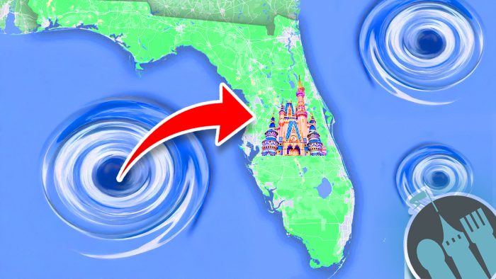 DFB Video: Everything You NEED to Know About Hurricane Season in Disney ...