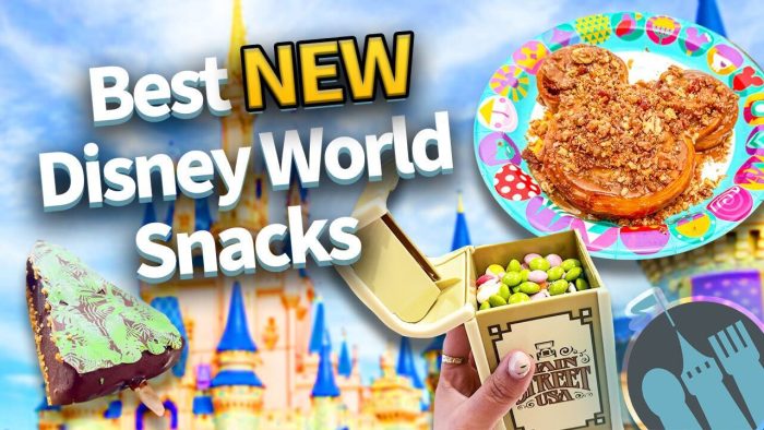 DFB Video: The Best NEW Snacks in Disney World | the disney food blog