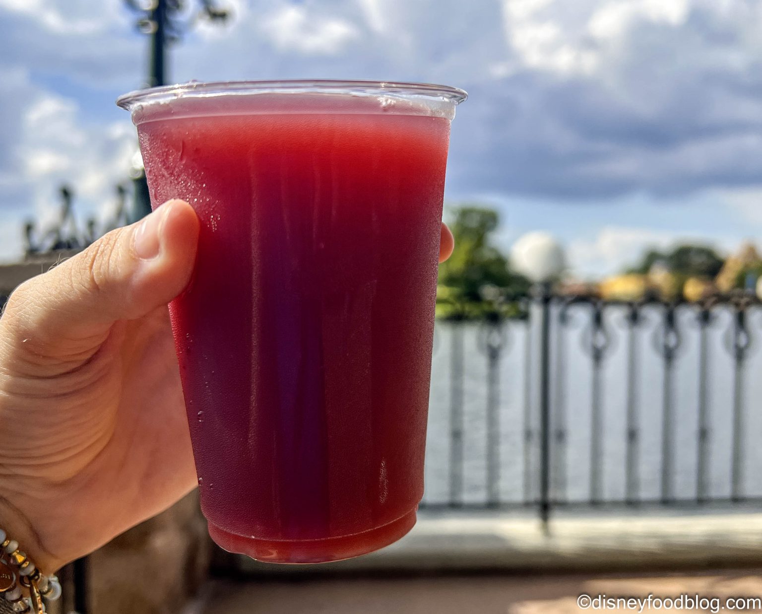 REVIEW: The One EPCOT Festival of the Holidays Booth You Can Probably ...
