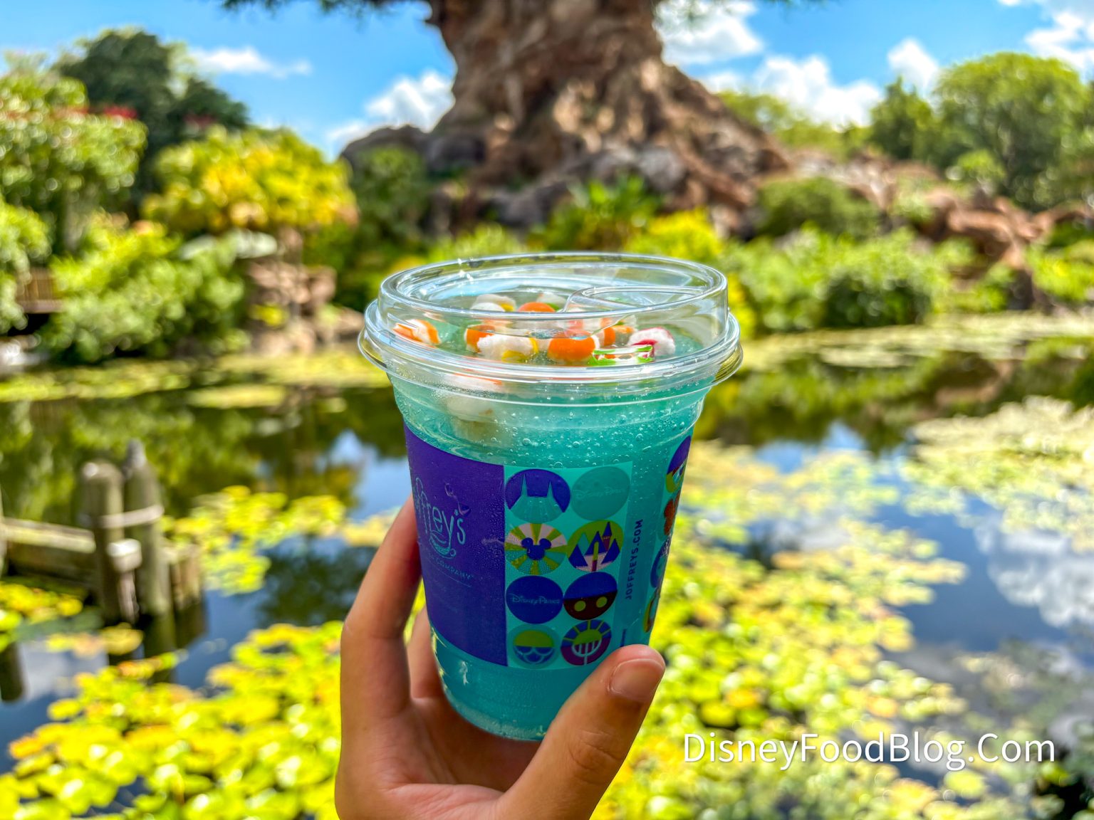 Warning! Disney World Is About to Slash 4 Annual Passholder Perks | the ...