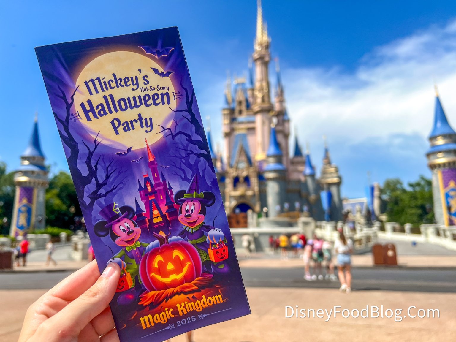 ALL the Characters You Can Meet at Mickey's Not-So-Scary Halloween ...