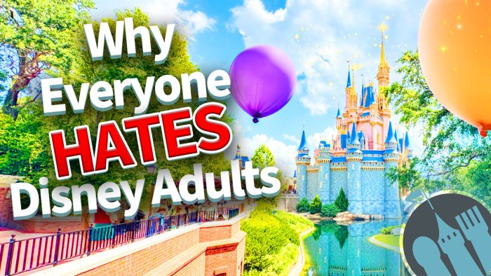DFB Video: Why Everyone HATES Disney Adults | the disney food blog