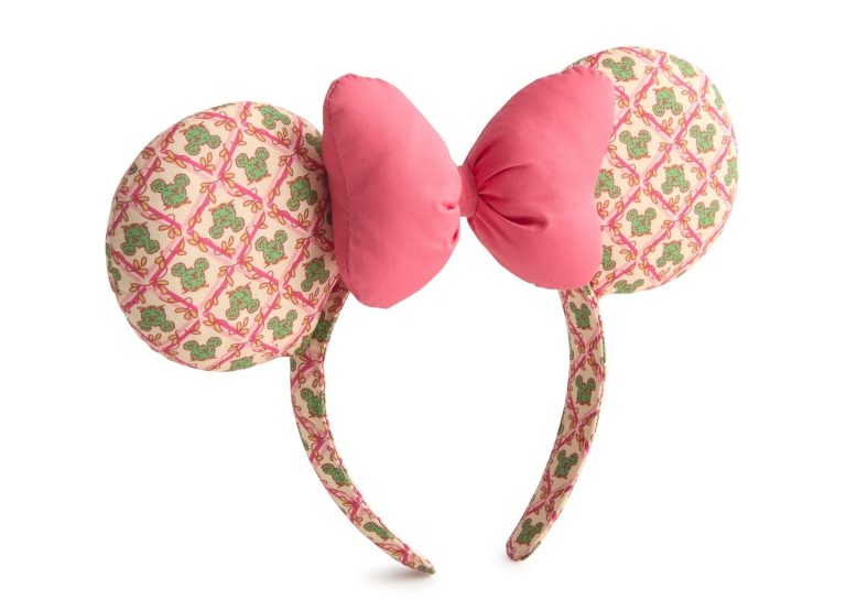 FIRST LOOK at the NEW Disney x Vera Bradley Collection | the disney ...