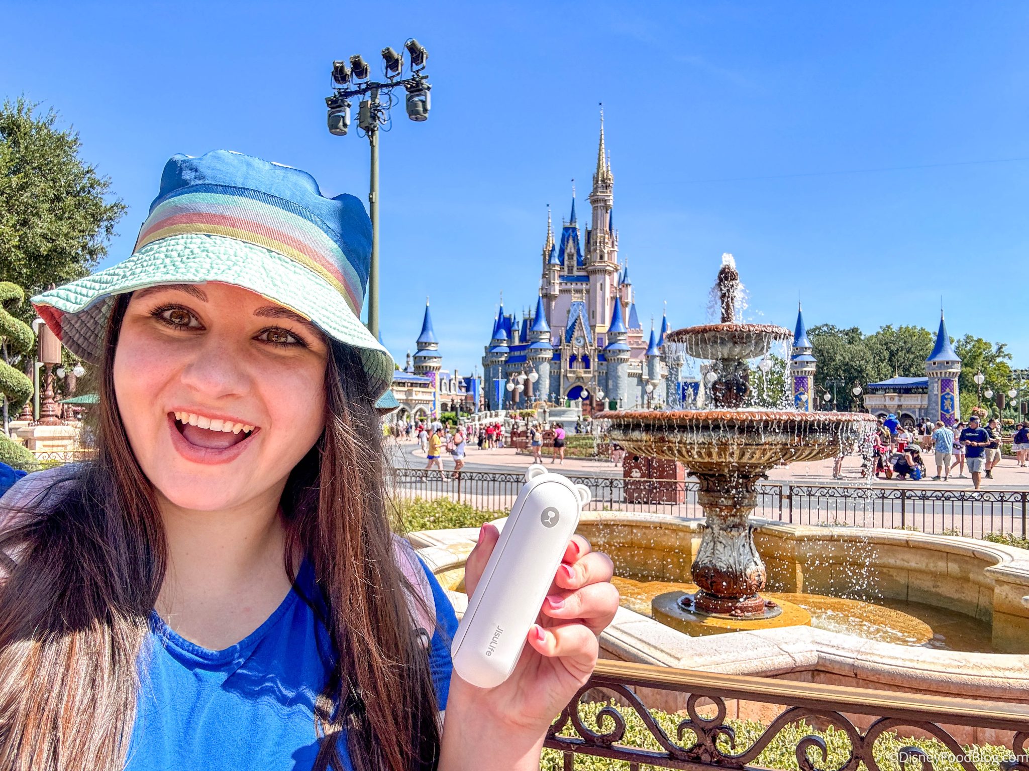 The Disney World Purchase That Passed Every Test We Threw At It | the ...