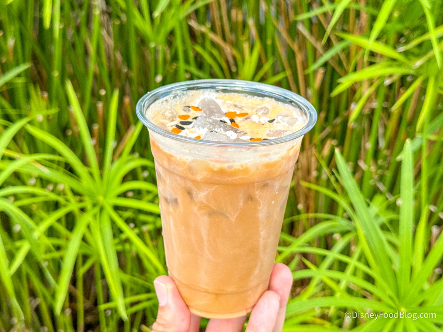 Photos AND Reviews: ALL the 2025 Fall and Halloween Treats in Disney ...