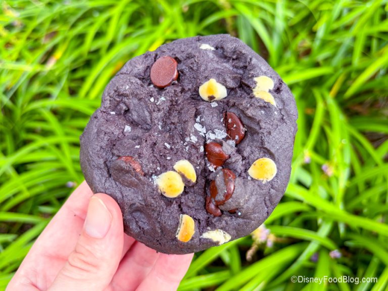 REVIEW: There's Always Room For One More…Of This Cookie in Disney World ...