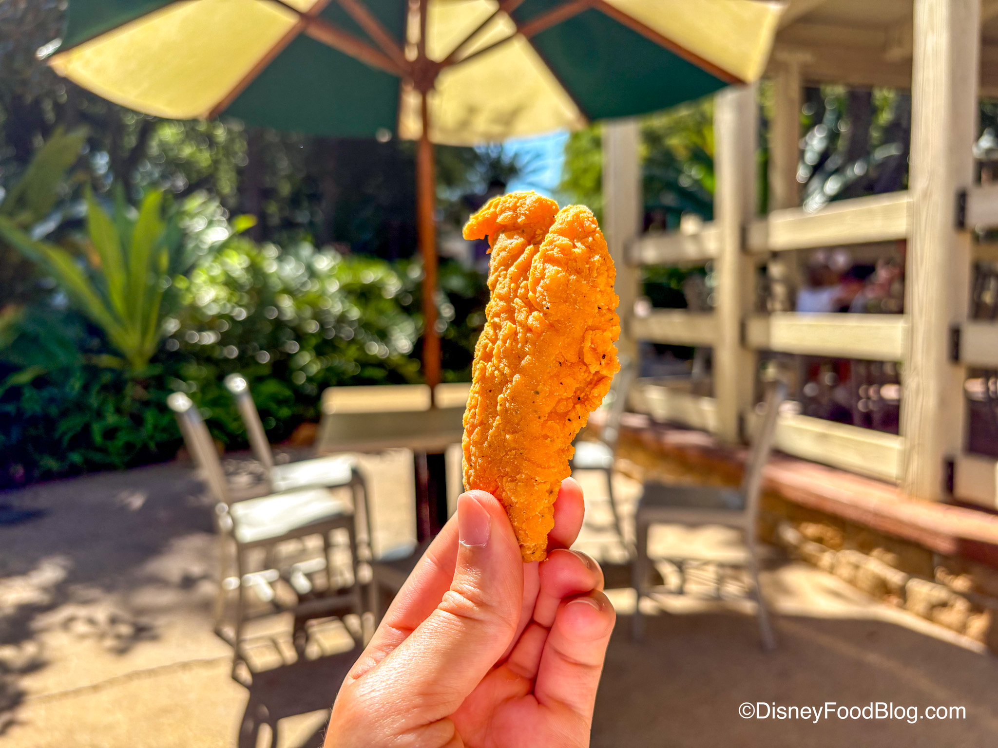 REVIEW: As If We Needed ANOTHER Reason To Order from the Kids Menu at ...