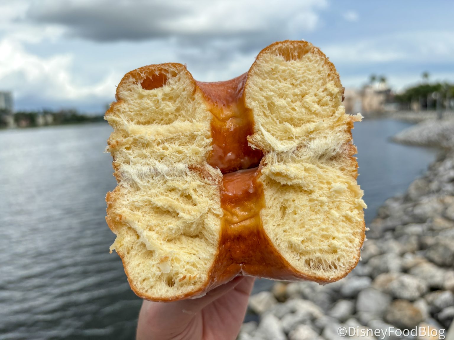 REVIEW: We Tried 6 Of The Most Popular Donut Flavors At Disney World ...