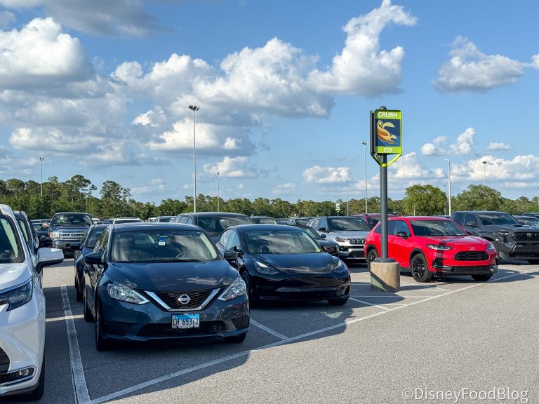 A Disney Springs Transportation Rule Is Coming Back — And You're Not ...