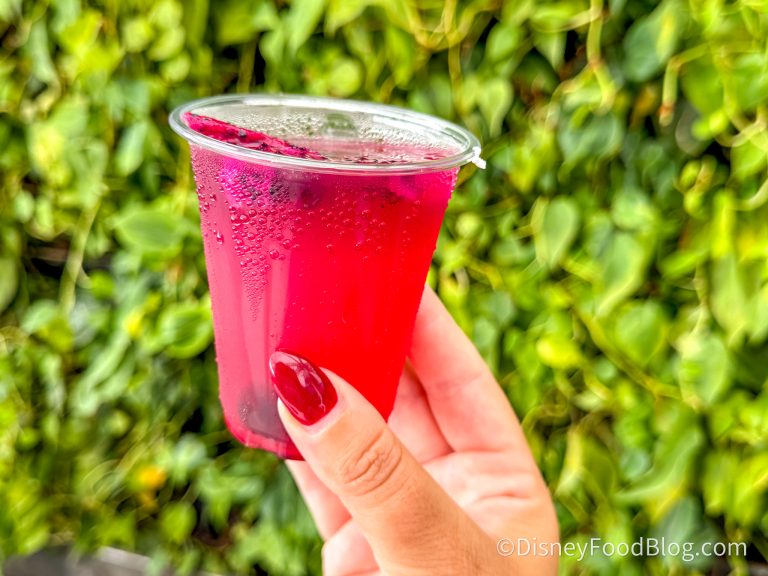 REVIEW: Is This NEW Custom Drink Flight Worth $16 in Disney World ...