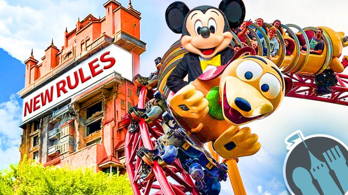 DFB Video: NEW RULES for Disney World Rides | the disney food blog