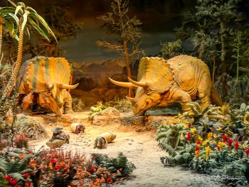 This Classic Disney Ride Looks TOTALLY Different | the disney food blog