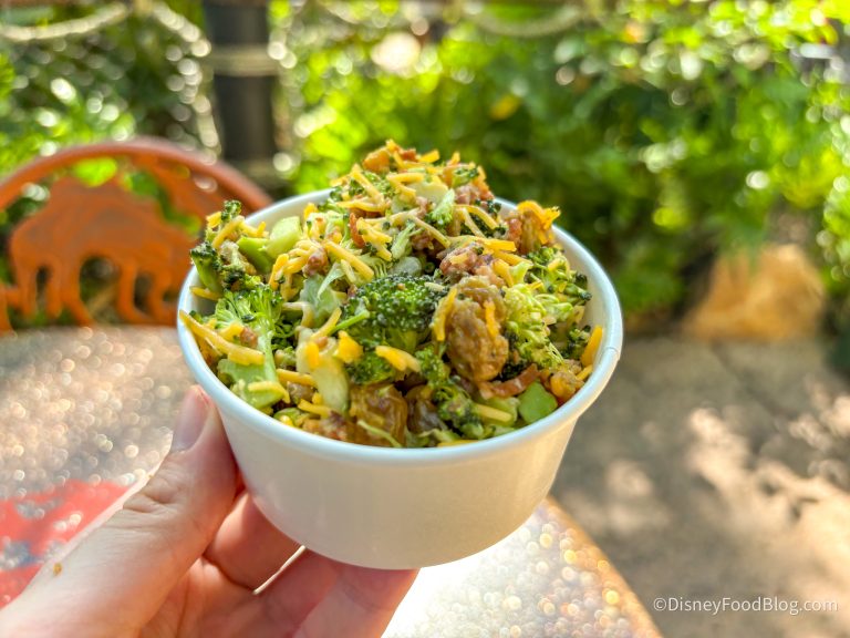 REVIEW: Only Real Disney Fans Know the Glory of Flame Tree Barbecue ...