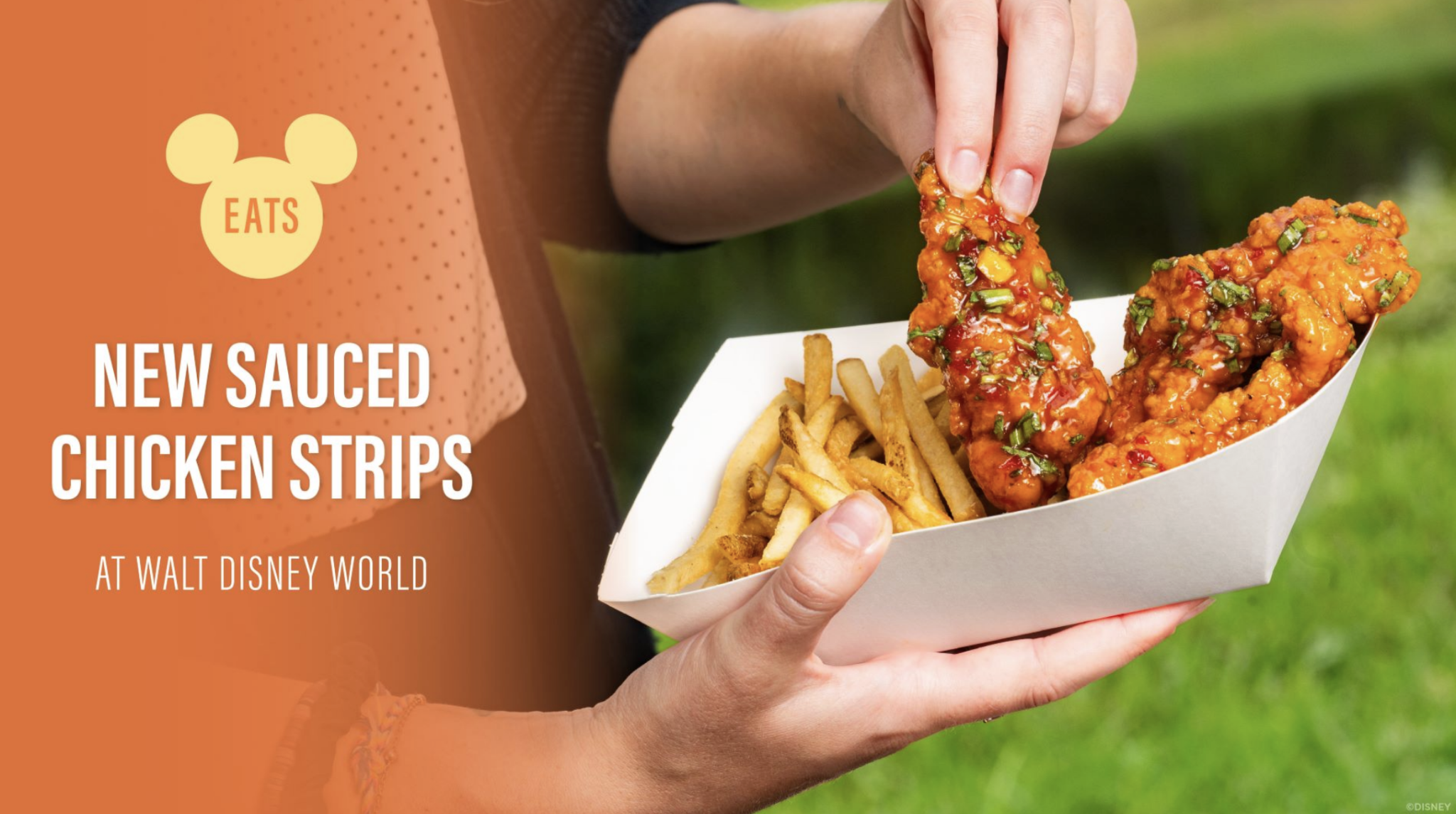 SAUCY SNACK NEWS: 13 NEW Sauced Chicken Tenders Are Coming to Disney ...