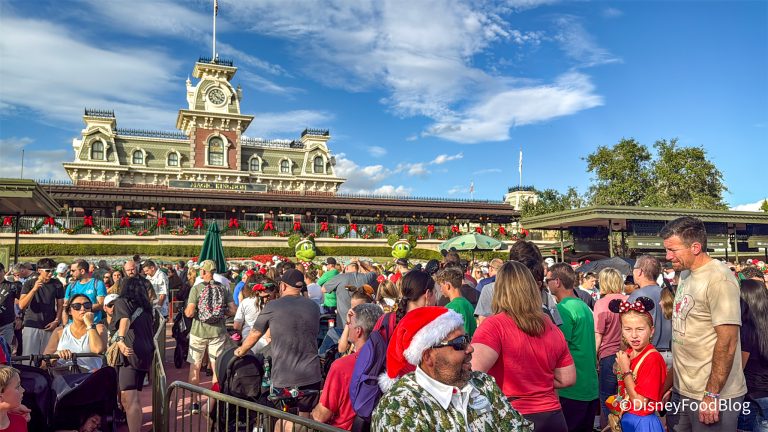 Have the Holiday Season Crowds Already Hit Disney World? | the disney ...