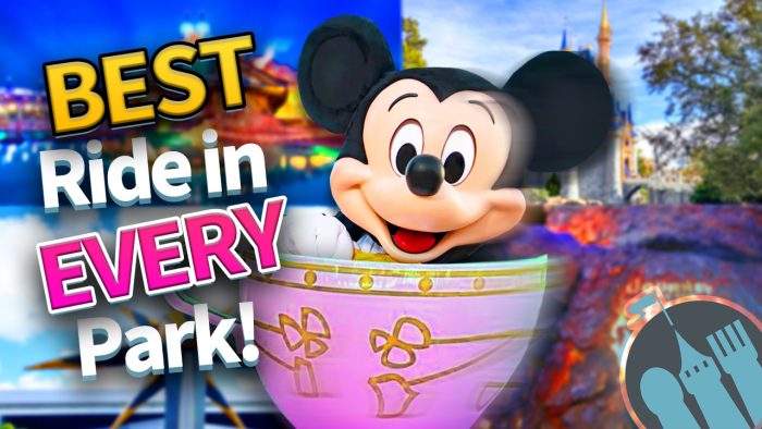 DFB Video: The Best RIDE in Every Disney Park | the disney food blog