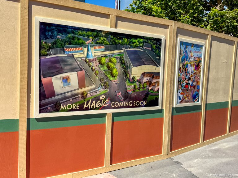 Update On 2 New Lands Coming to Disney's Hollywood Studios | the disney ...
