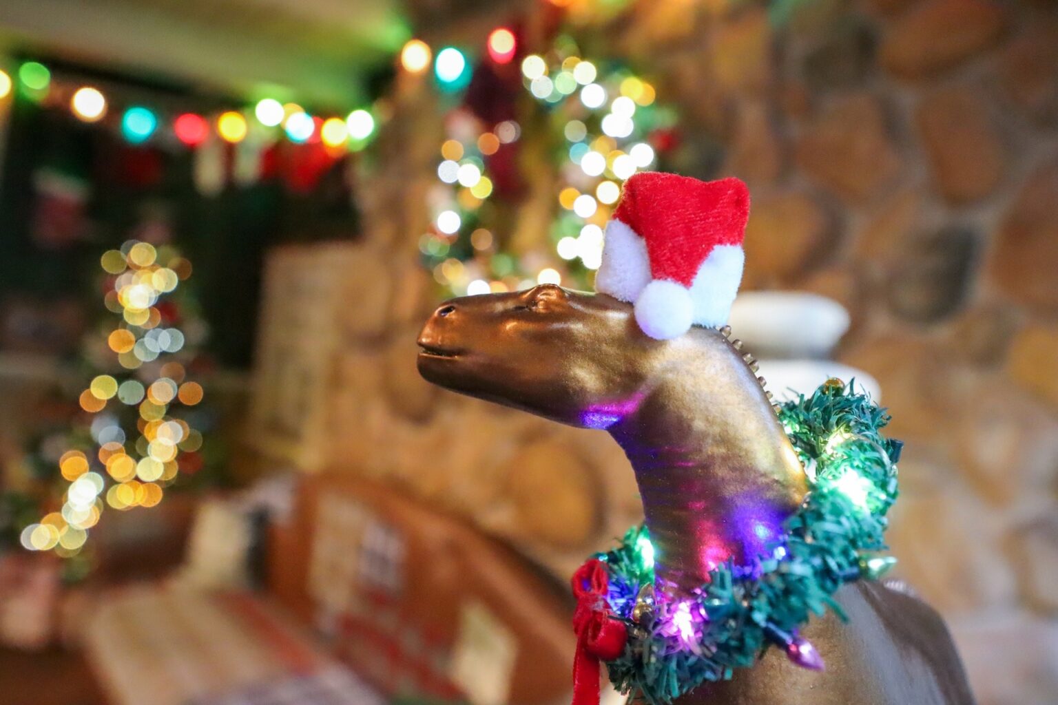 Everywhere You Can Meet Santa In Disney World | the disney food blog